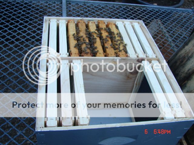 Mini Mating Nuc | Beesource Beekeeping Forums